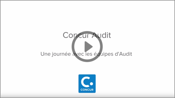 Concur Audit